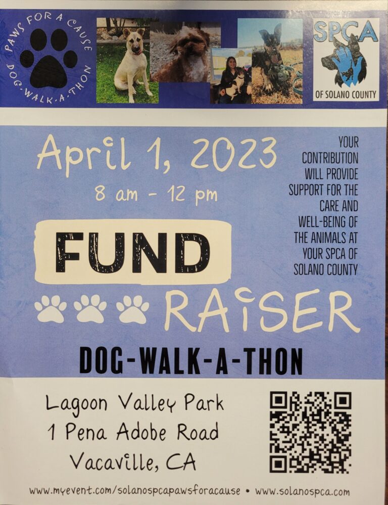 Home | SPCA of Solano County